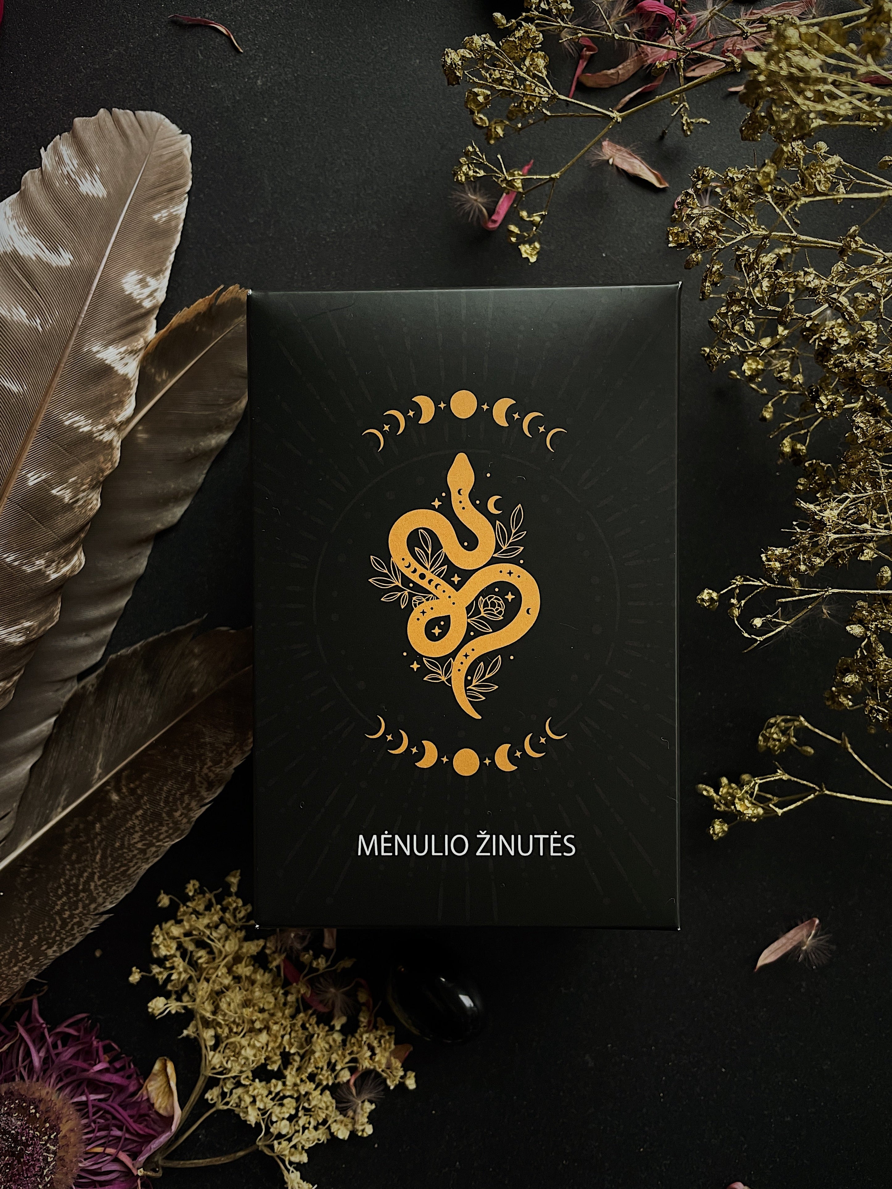 Dienos korta • Mėnulio žinutė – Mano Mėnulis